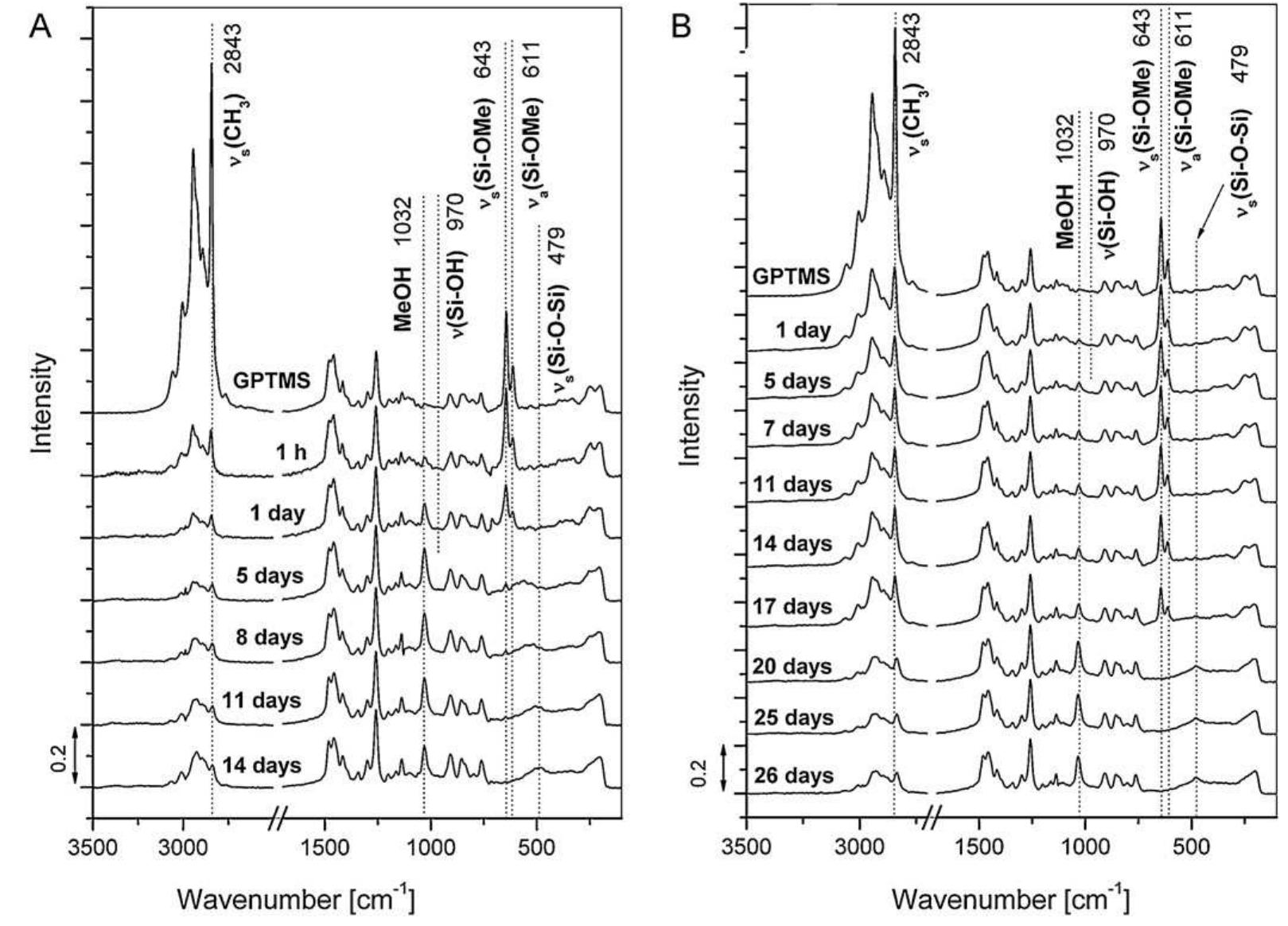 Time-dependent raman spectra of hydrolysis of gptms with 0.1