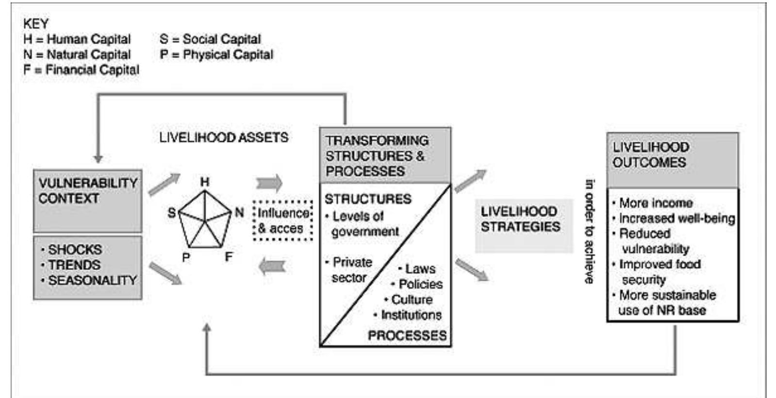 Sustainable livelihood framework