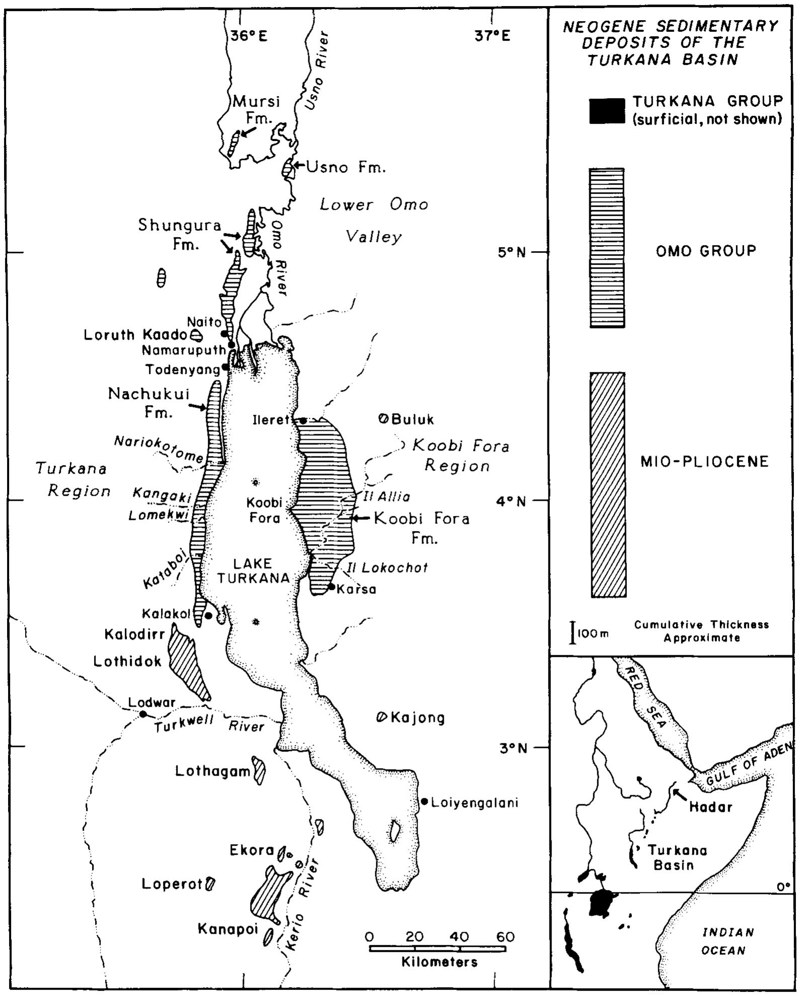 Map of the turkana basin, showing areas of outcrop for the