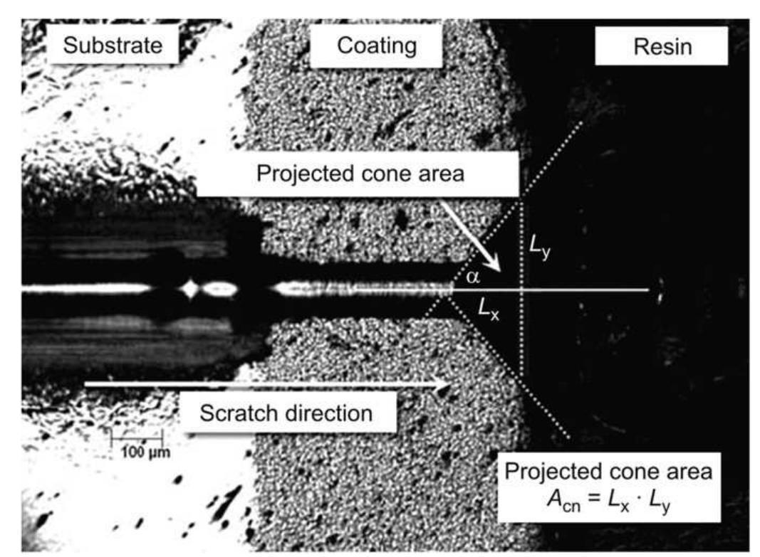 Om images of the cone fracture area and nomenclature. 2.3.