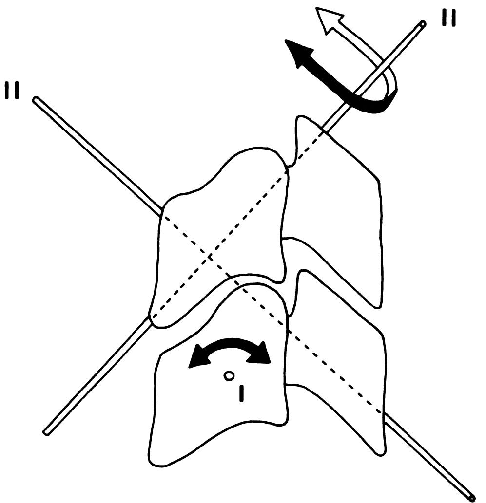 The planes of motion of a cervical motion segment. flexion