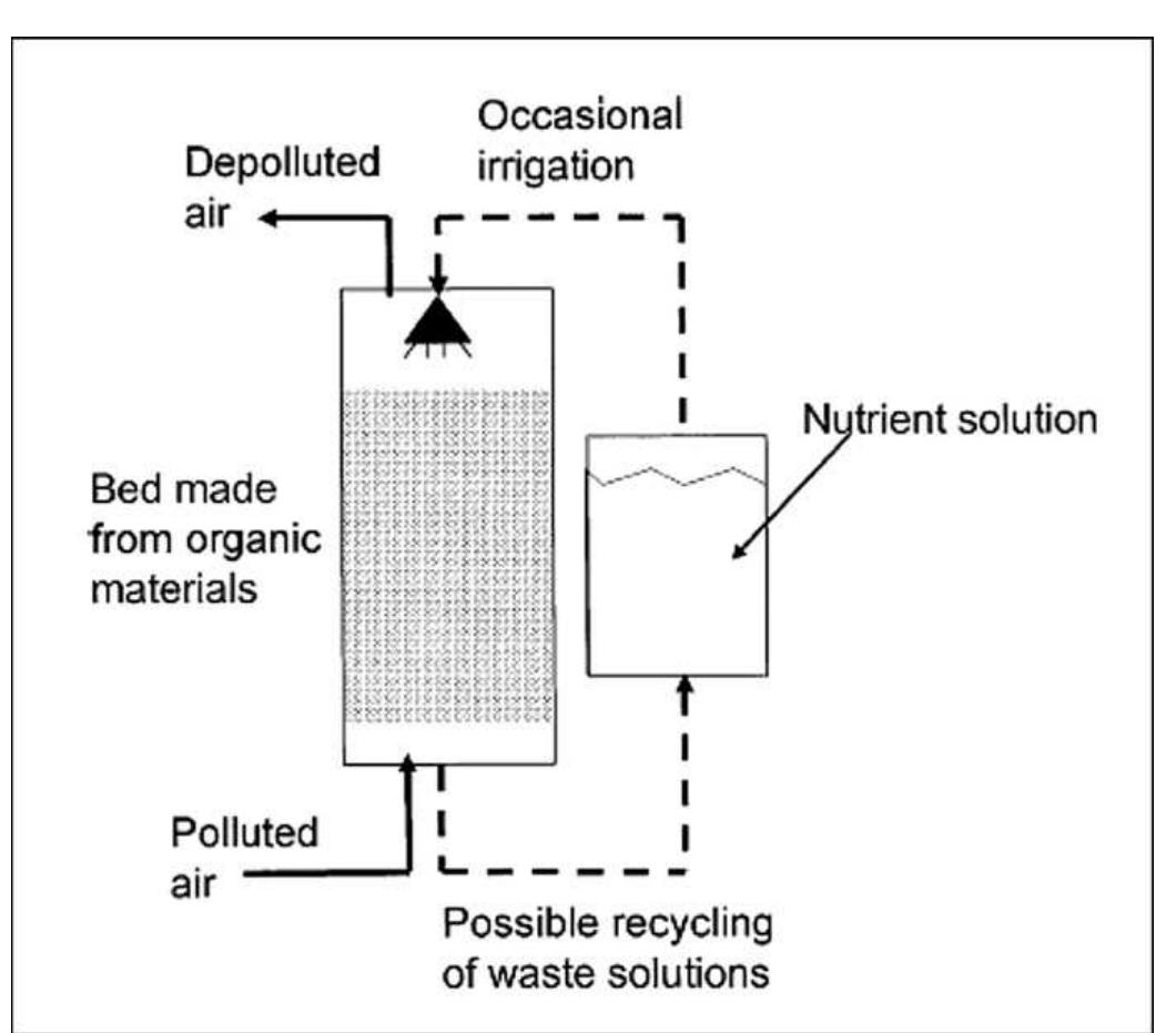Schematics of a biofilter unit. 3.1.2. biofilm