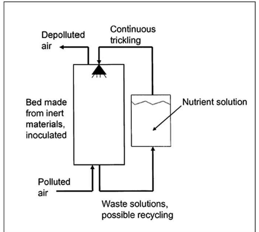 Schematics of a biotrickling filter unit. the schematic