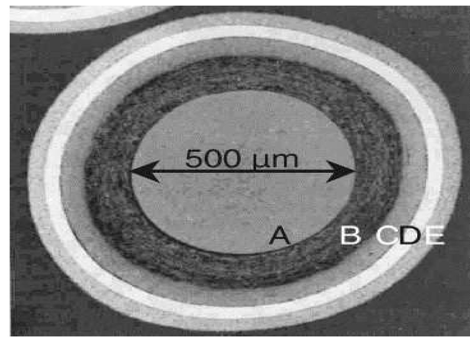 Figure 28 - Principles and applications of CVD powder