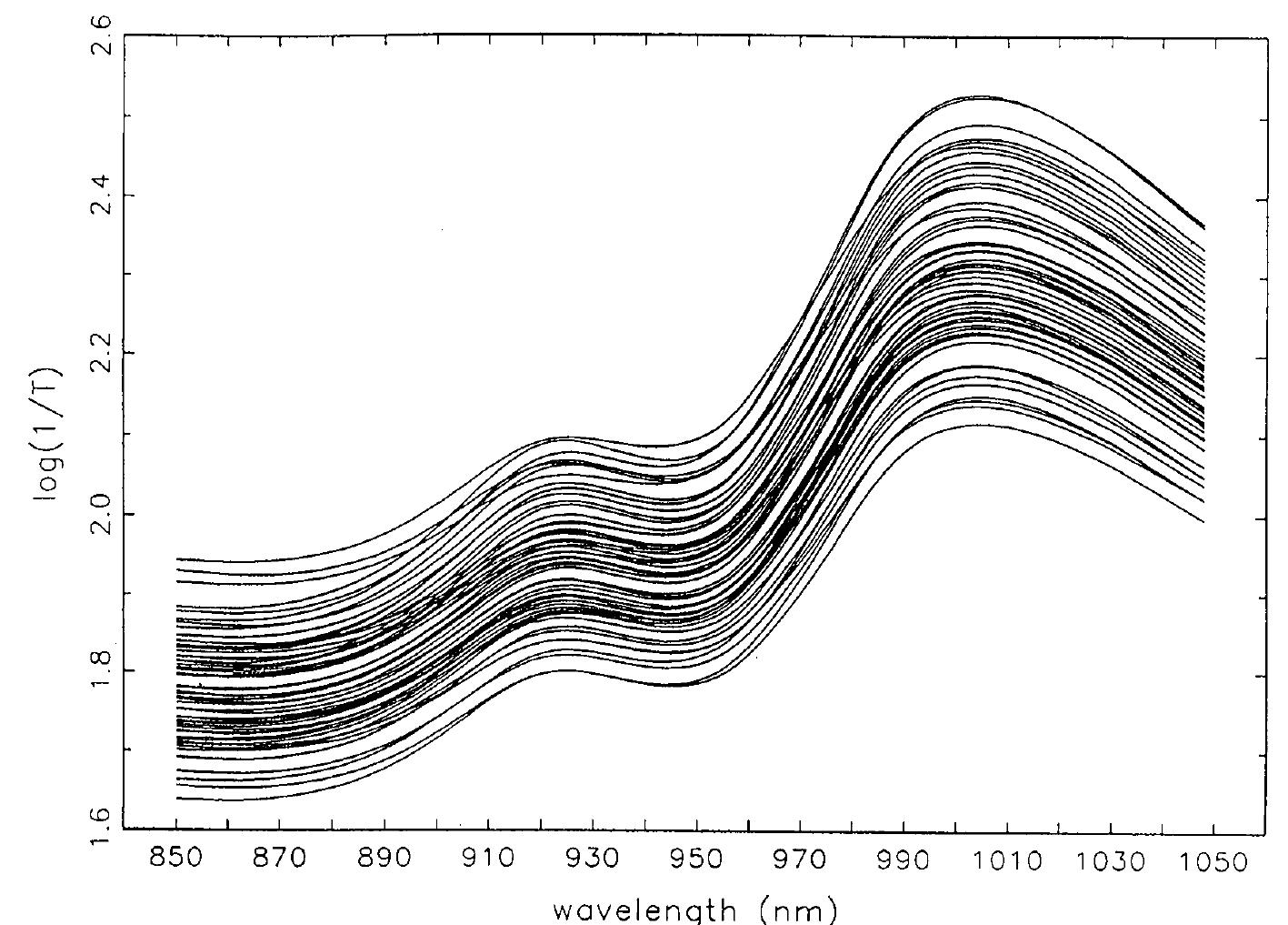 Nir transmittance spectra of 62 rice samples.