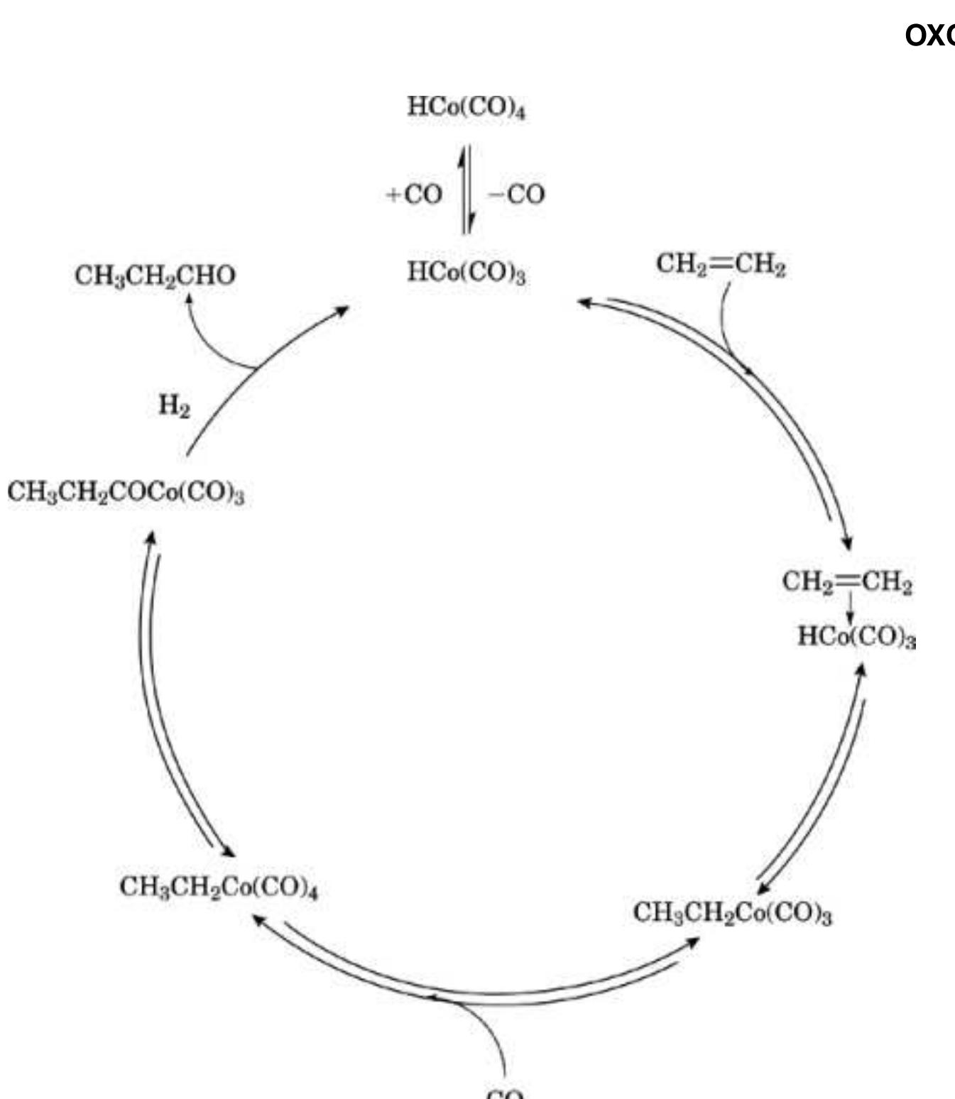 (PDF) OXO PROCESS