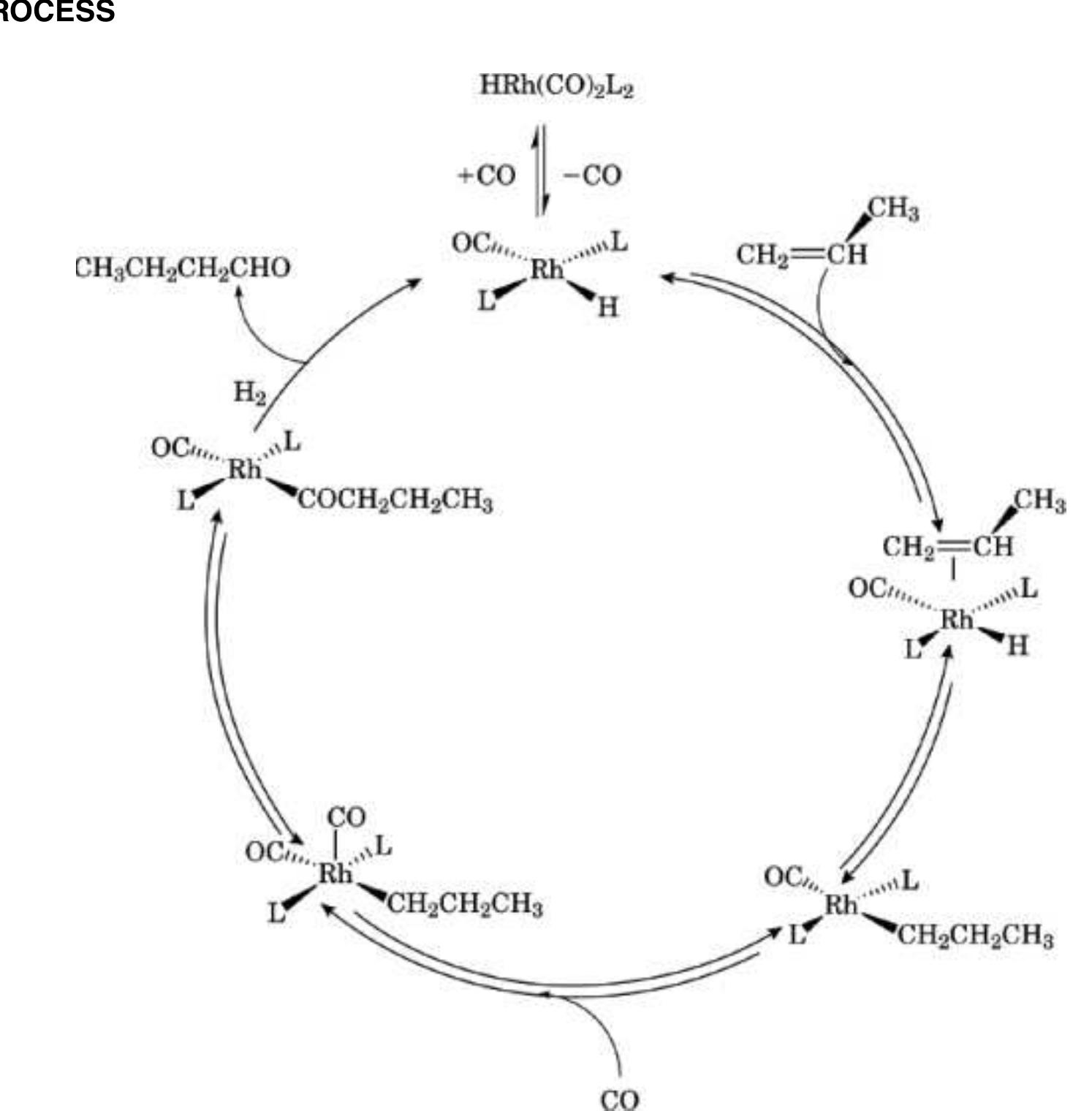 (PDF) OXO PROCESS