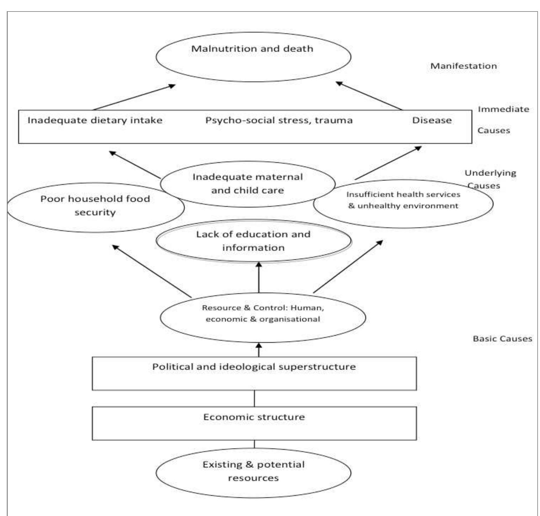 Unicef conceptual framework of causes of malnutrition and