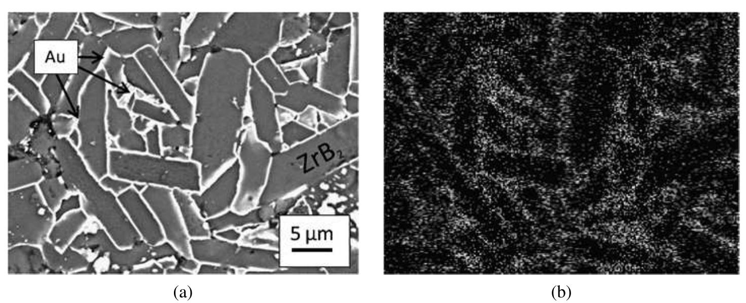 Sem image (back-scattering electron—be mode) of a cross