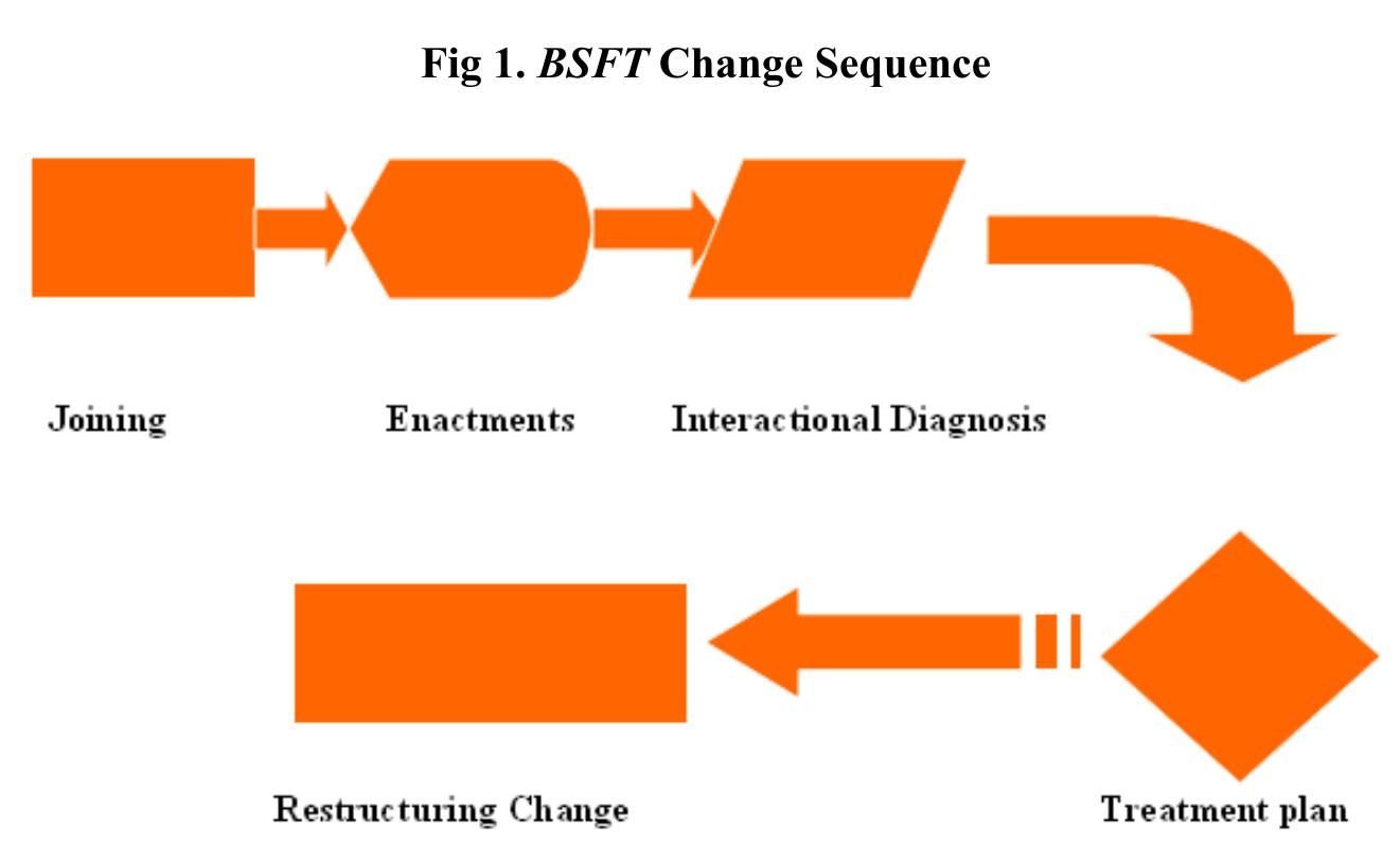Figure 1 - from Brief Strategic Family Therapy