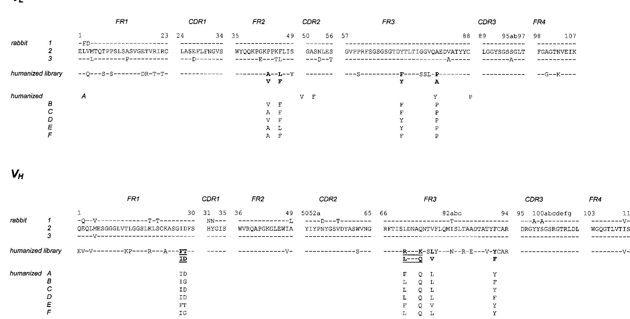 Fic. 2. amino acid sequence alignment of selected rabbit