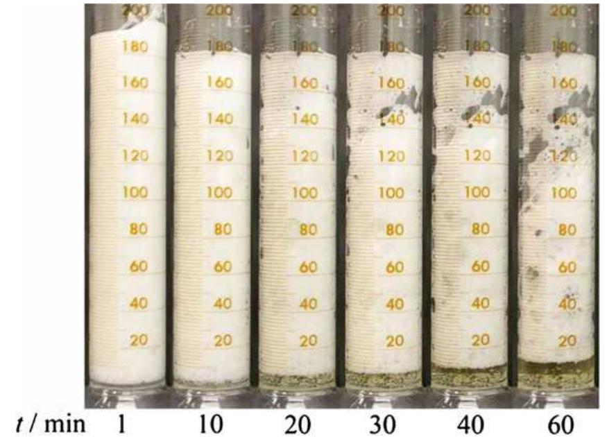 Evolution of foam volume with time for the 5 wt% c12g2/olive