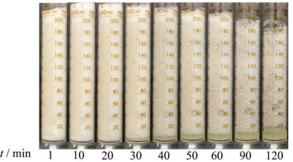 Evolution of foam volume with time for the 5 wt% c12g2/olive