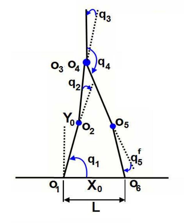 Biped kinematic model. dynamic model: for formulating the