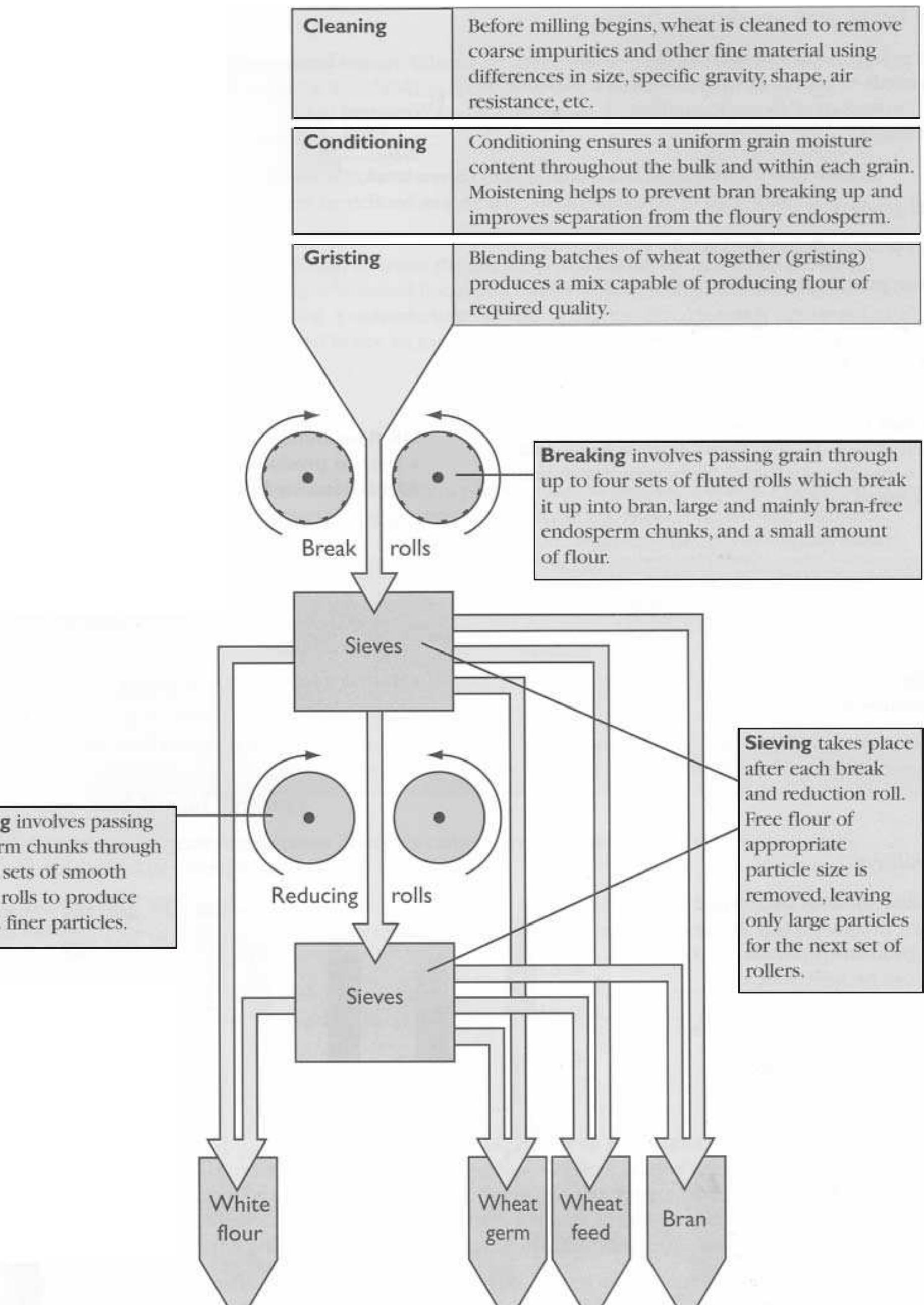 General stages of milling (reproduced with kind permission