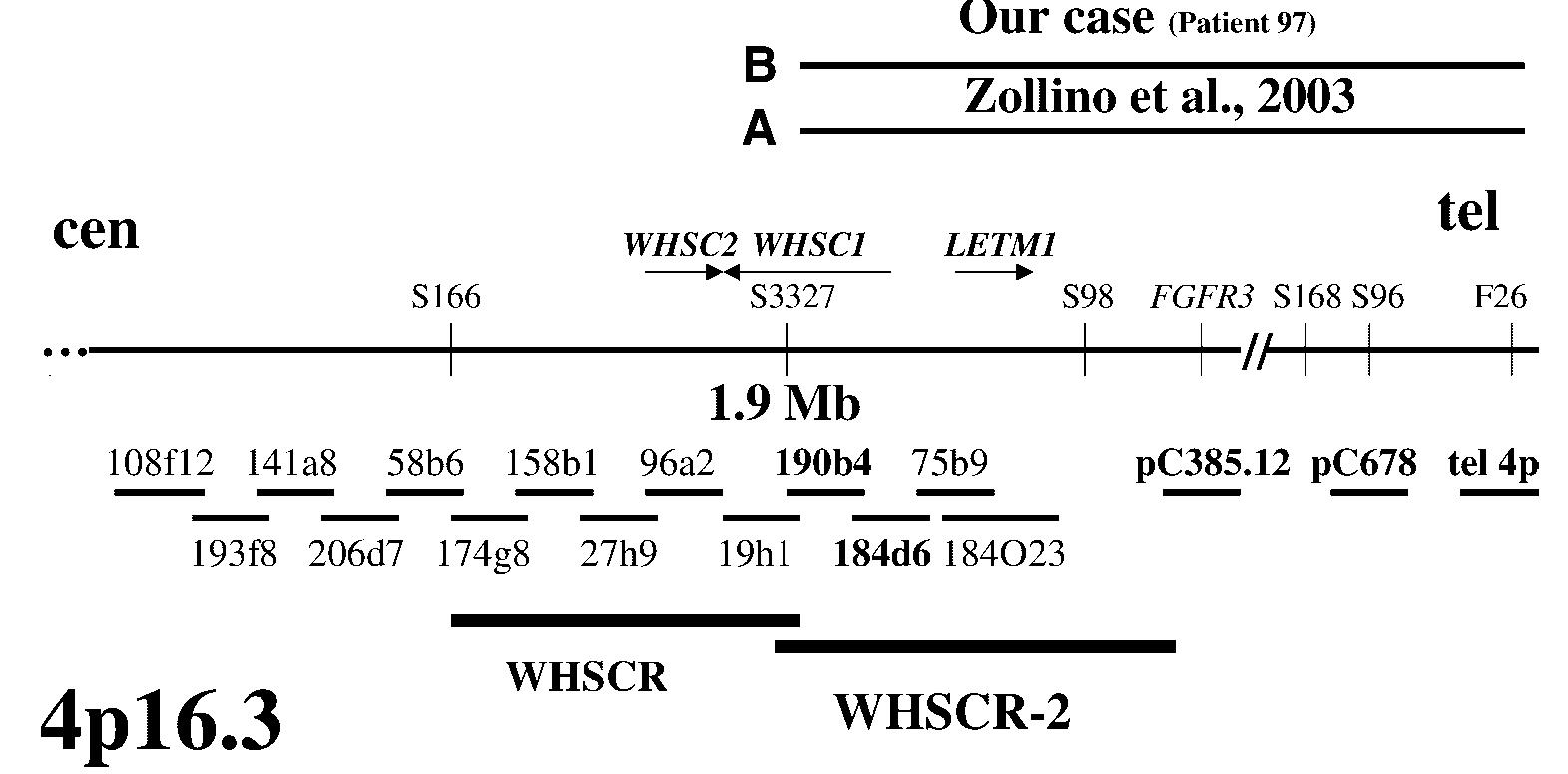 Schematic physical map of distal 4p16.3. a: case reported by