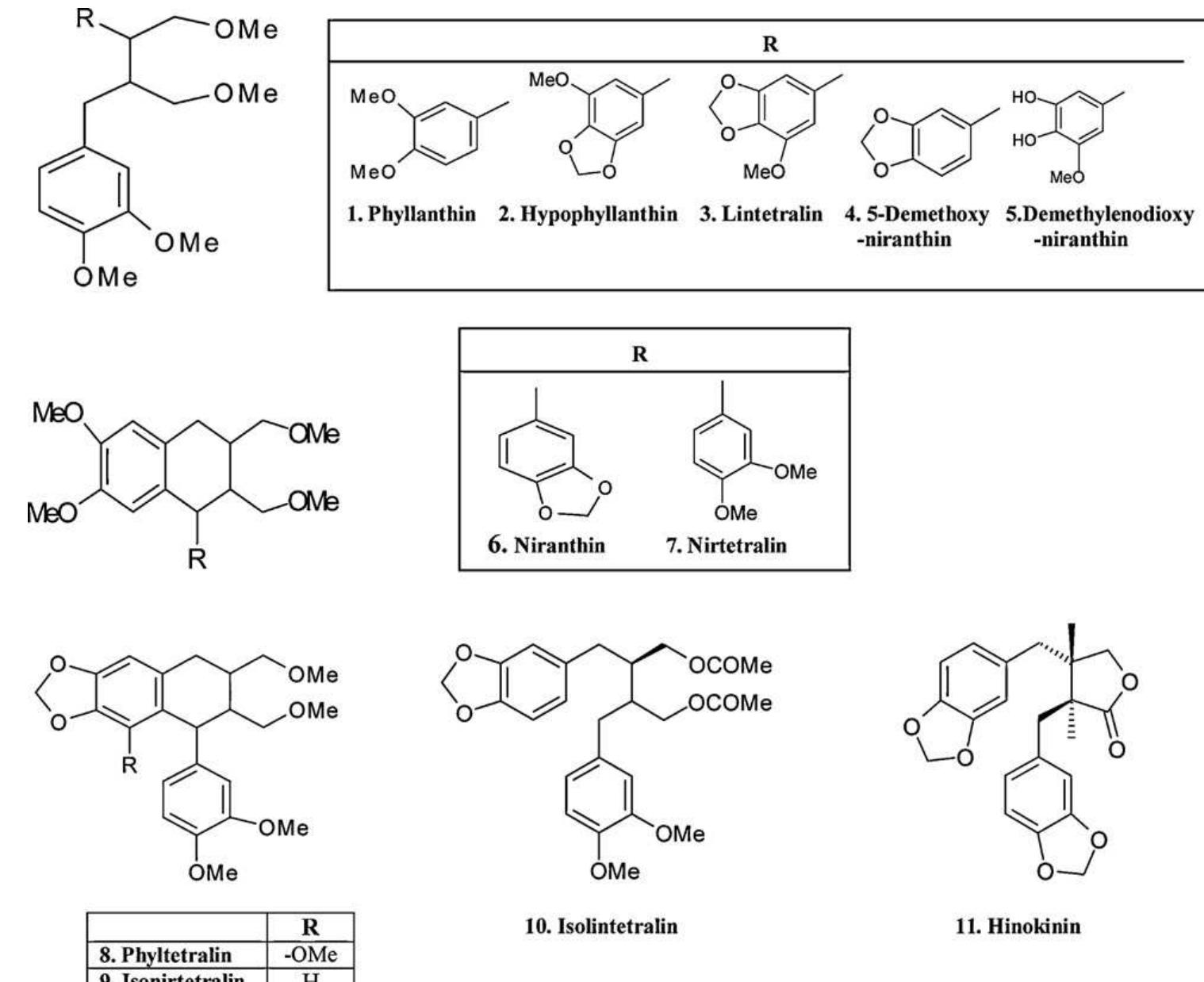 Structures of lignans isolated form p. amarus.