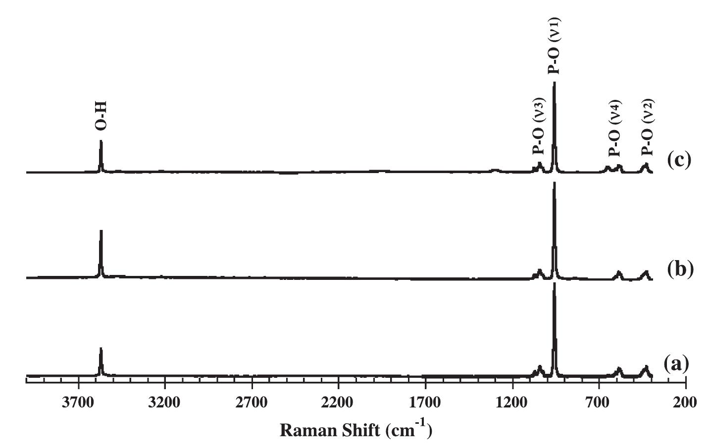 “ig. 6. typical raman spectra of synthetised hydroxyapatite