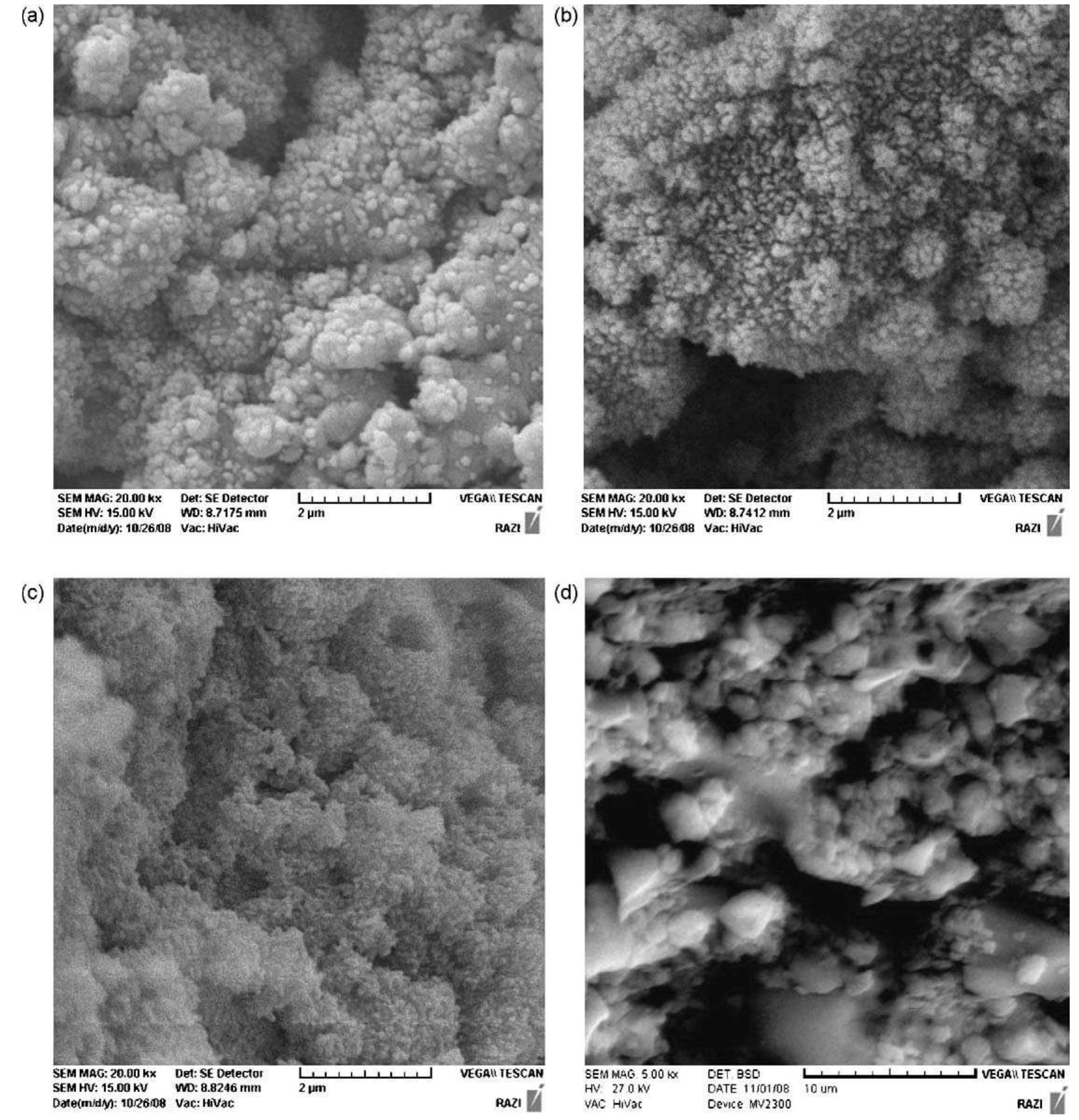 Sem images of samples after soaking in sbf for 14 days. (a)