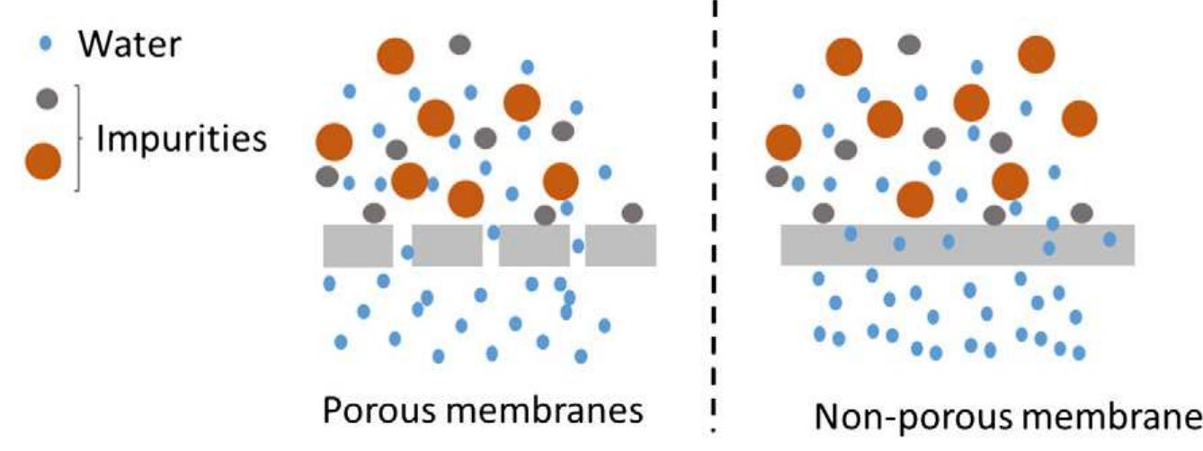 Transport mechanisms in porous membrane (left) and