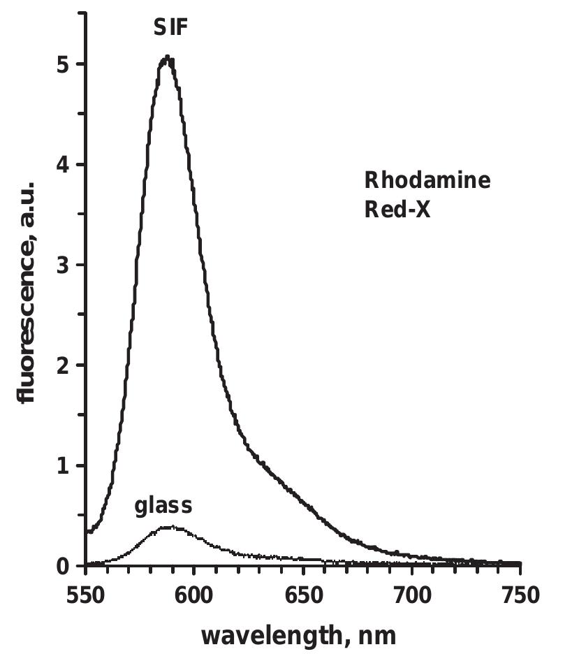Example of the fluorescence spectra of the rhodamin red-x
