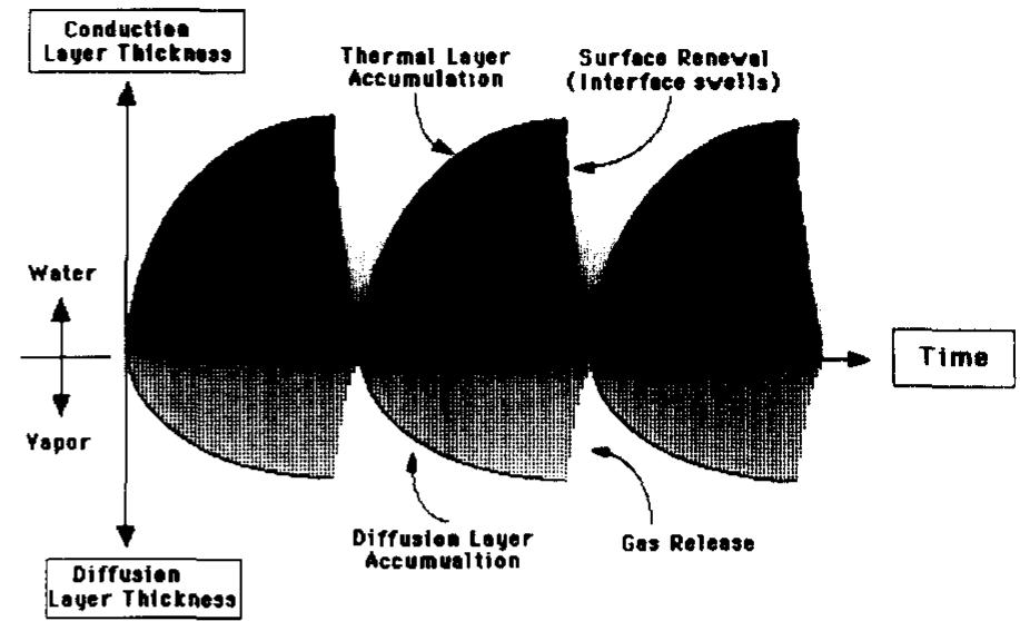 Periodic conduction and diffusion layer response. clapeyron