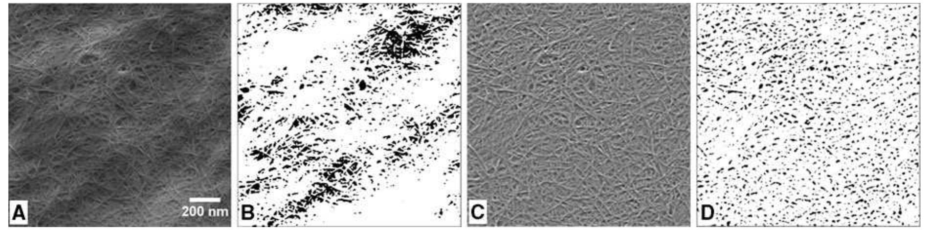 Segmentation of surface pore structures of model films. a an