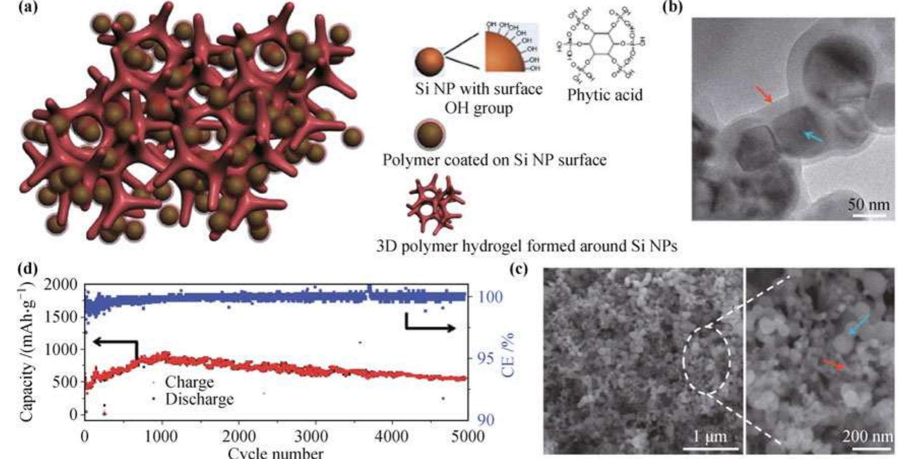 (a) schematic illustration of 3d porous si np/conductive