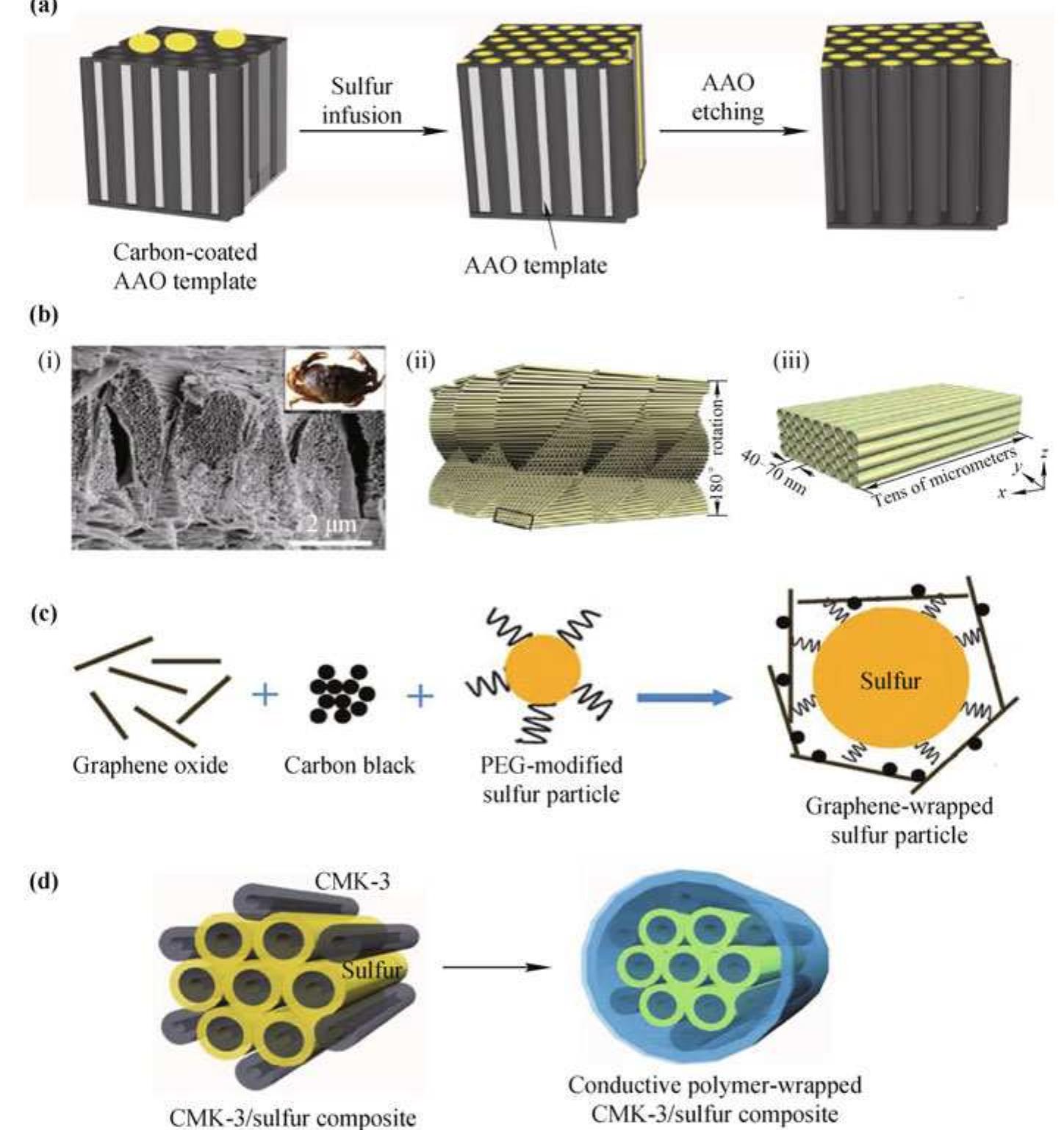 (a) schematic illustration of hollow carbon