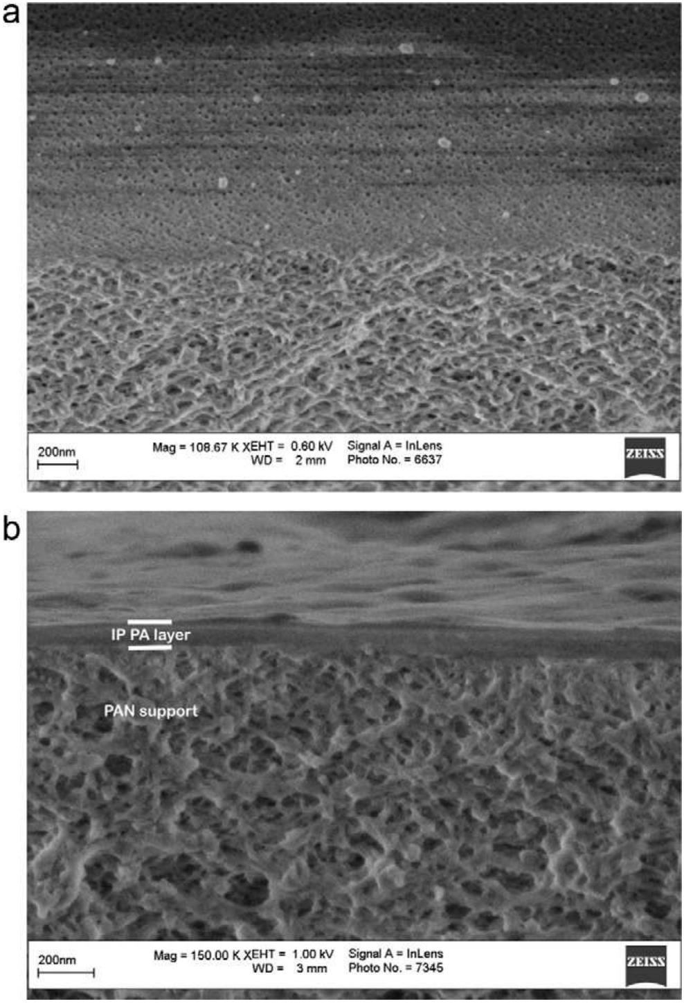 Scanning electron microscopy images of: (a) pan support and