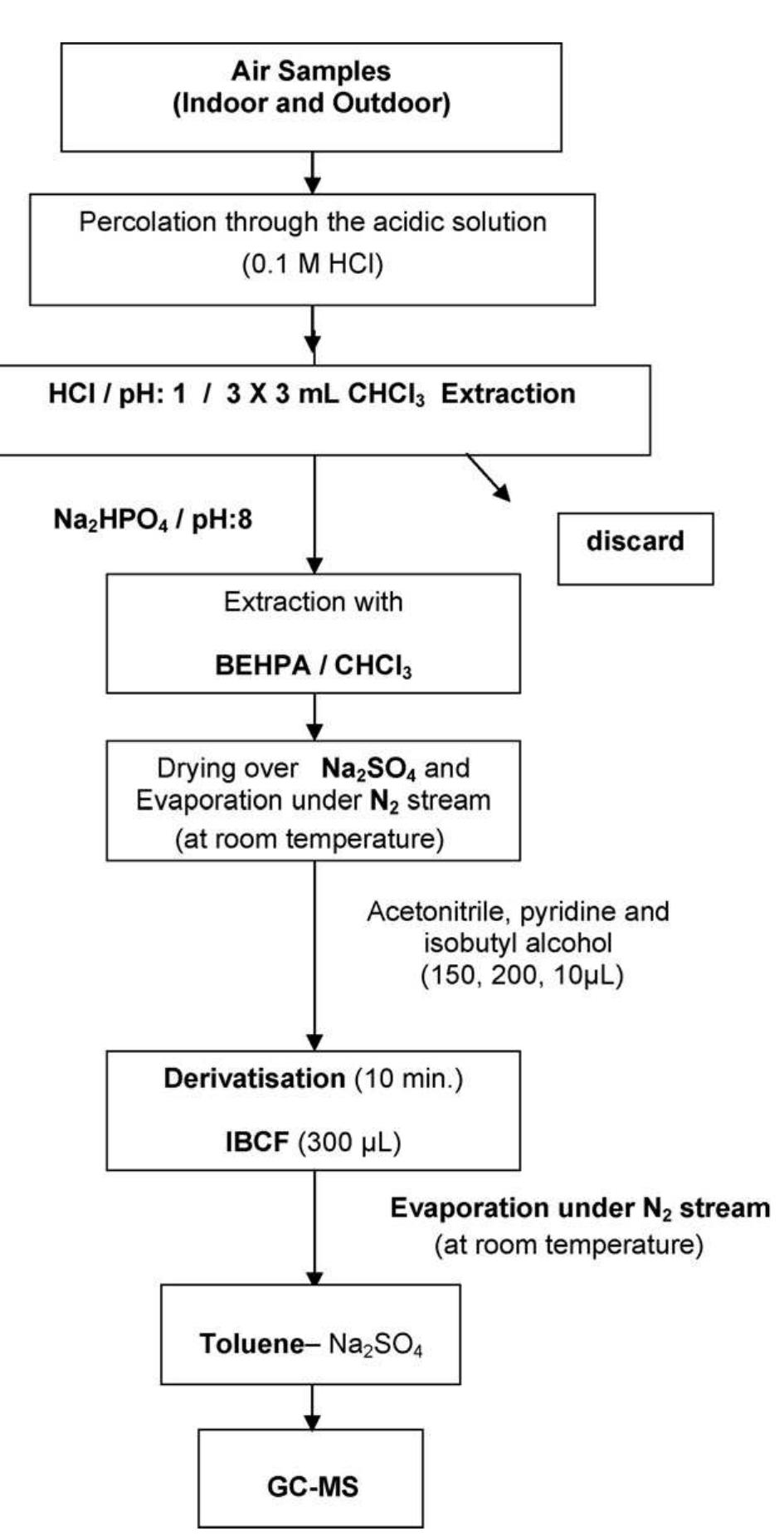 Flow chart showing the isolation and preparation of the