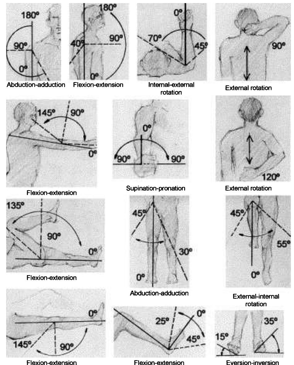 Range of motion of different joints.