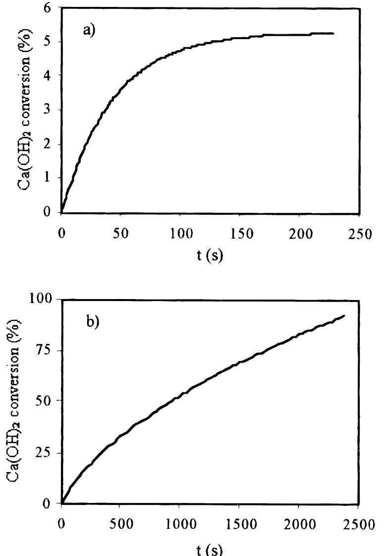Typical curves for the experimental conversion of solid