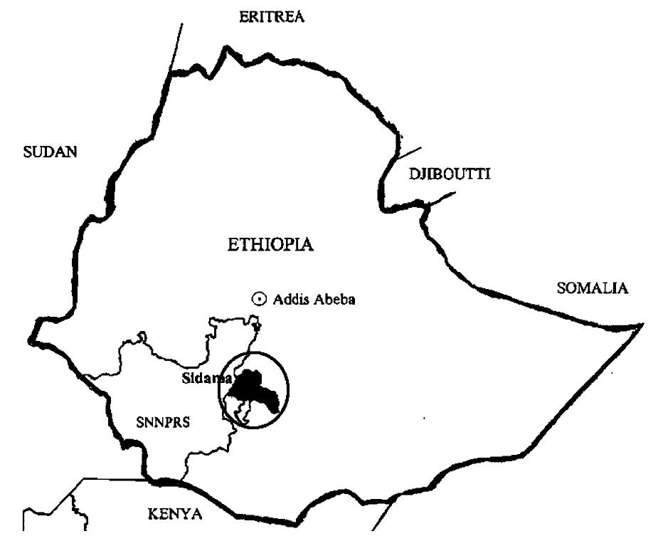 Figure 2 - from Diversity, composition and density of trees