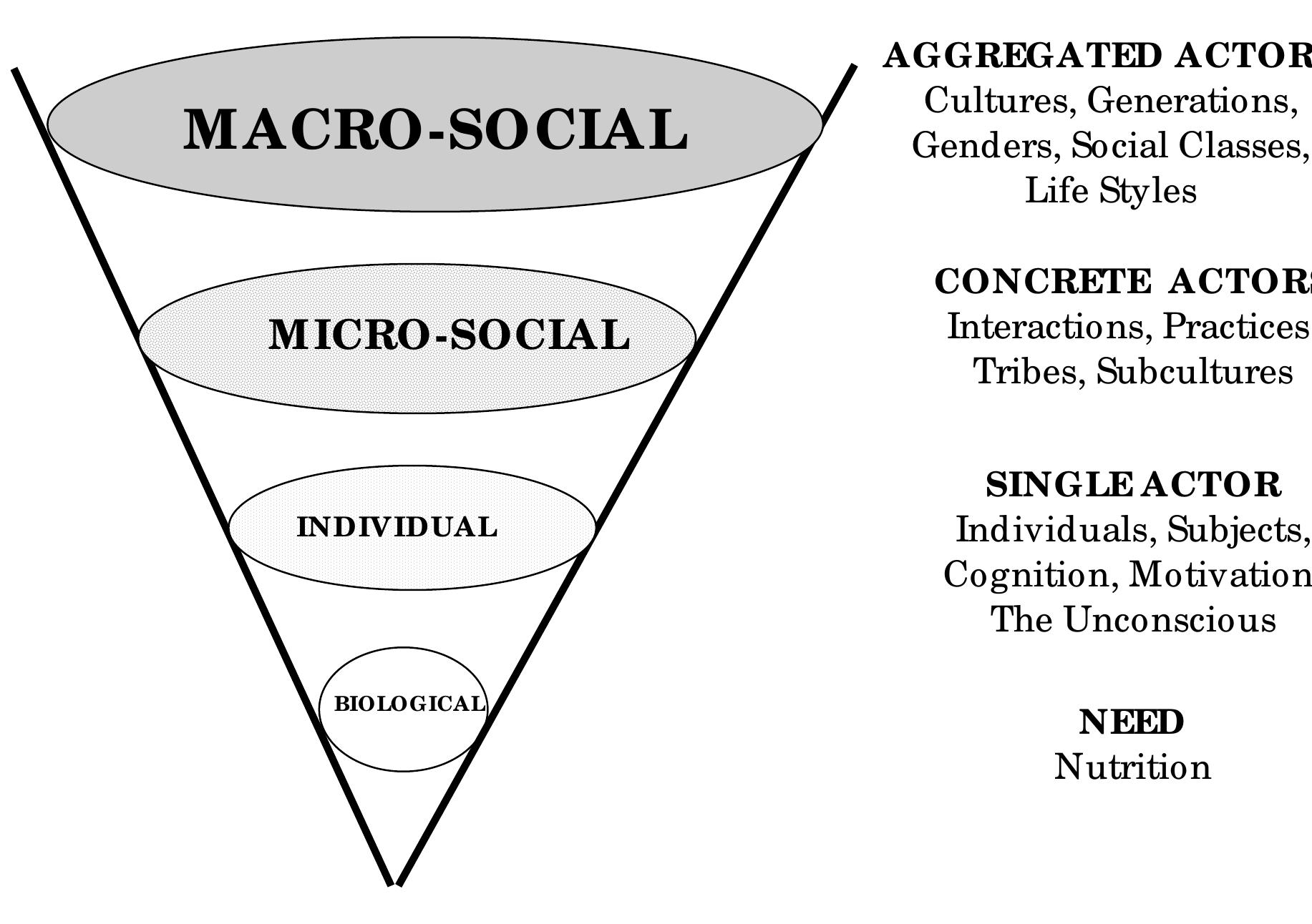 Levels of observation of consumptiot1 (adapted from d