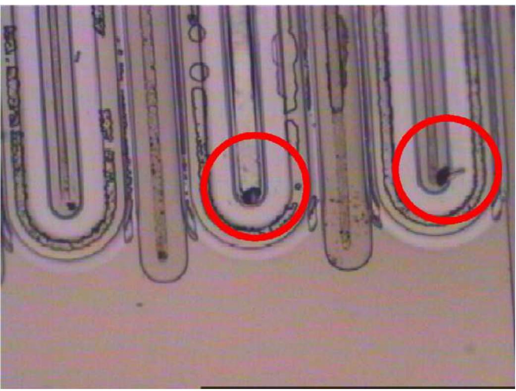 Figure 6 - from Theoretical study about the RBSOA of a
