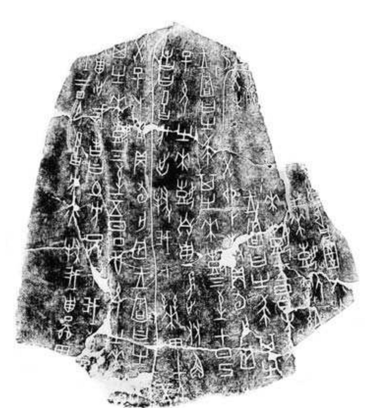 4 cattle scapula inscribed with series of “display