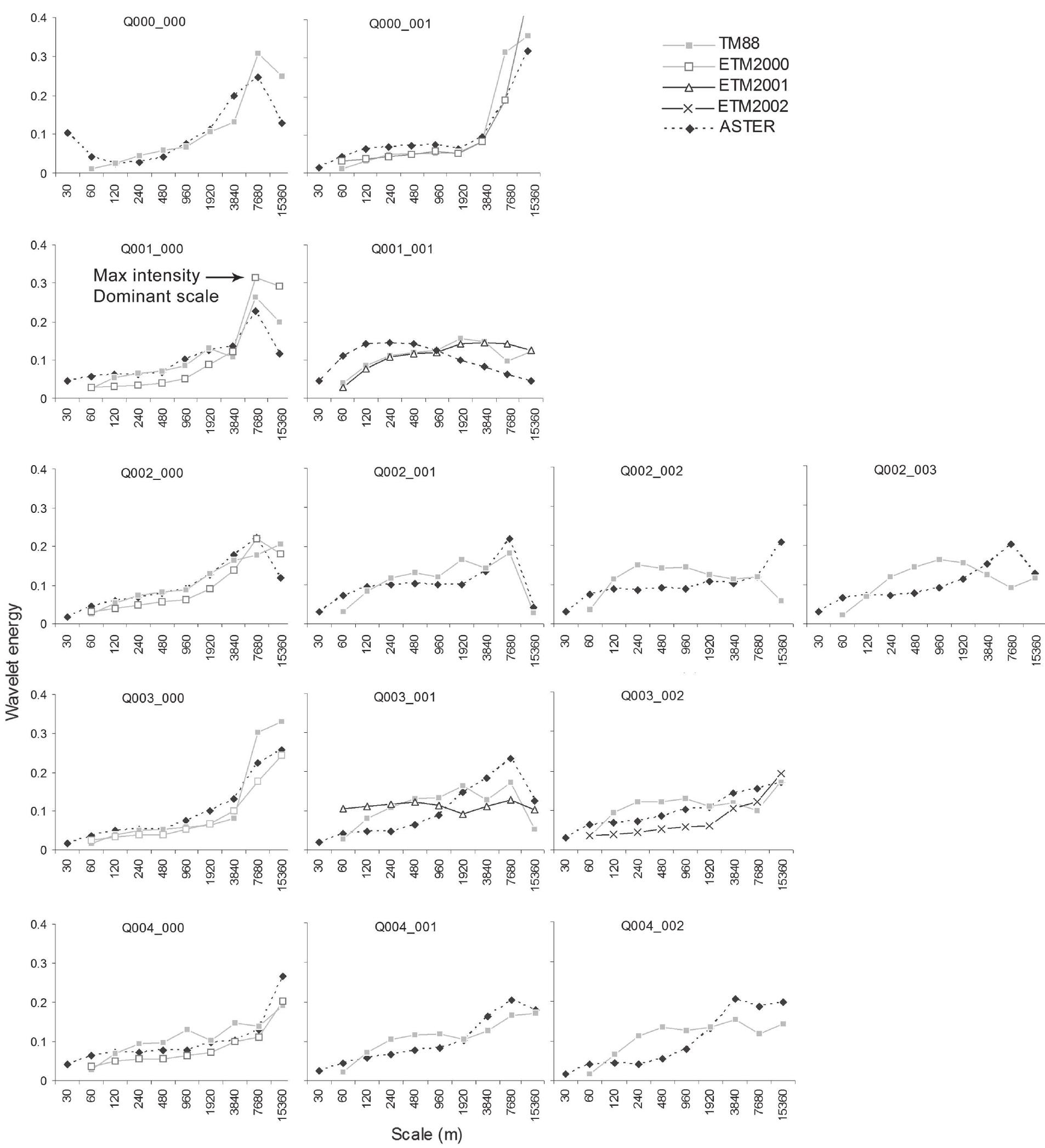 Wavelet energy curves, dominant scale and maximum intensity