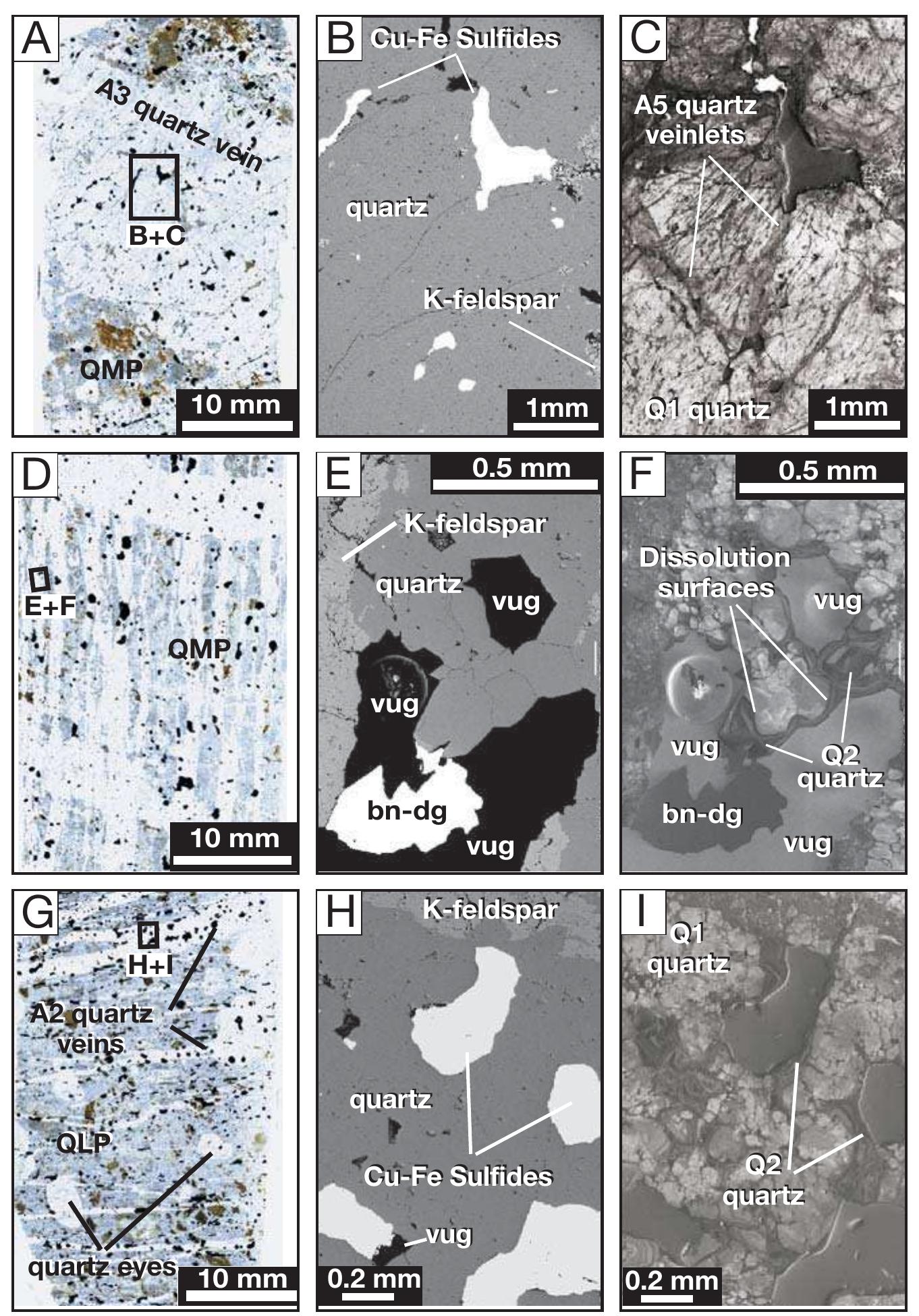 Fic. 7. textures in high-grade a-quartz veins from qmp and