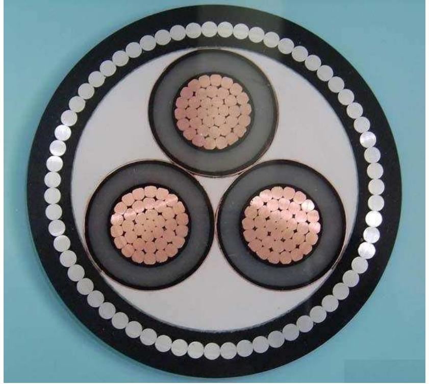 shore link cable cross-section two specifications of cable