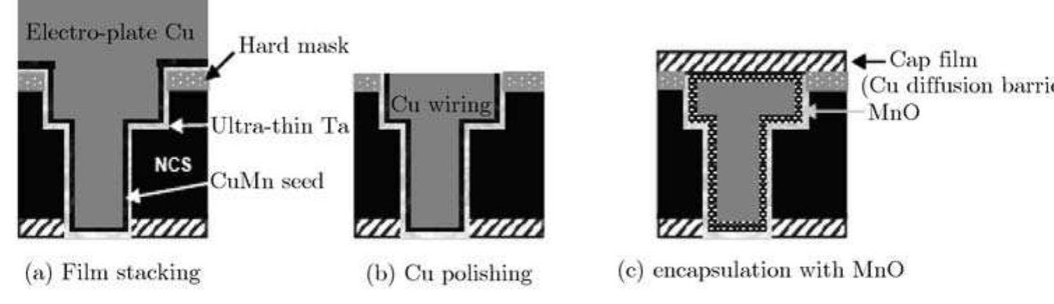 6 schematic illustrations of cu wiring encapsulation process