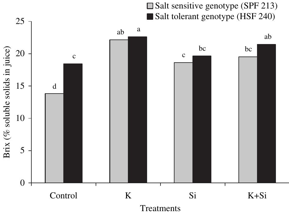 Brix (% soluble solids in juice) of salt sensitive and salt