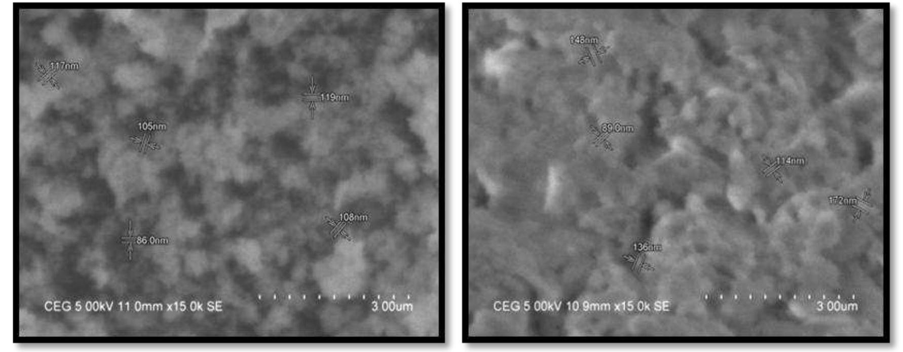 4 sem images of cagt and cap nanoparticles sem images showed