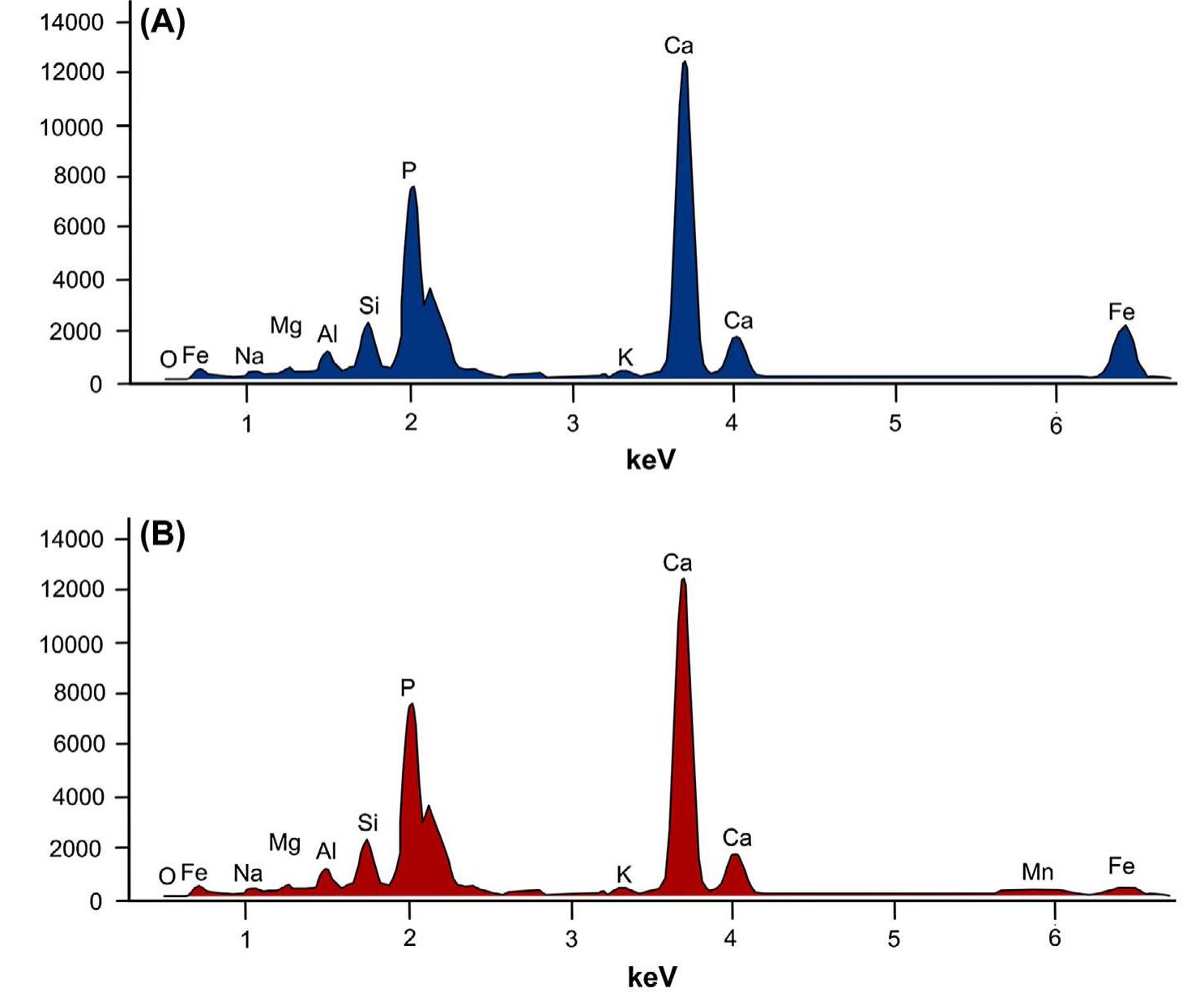 Chemical composition graphics. (a) coprolite matrix chemical