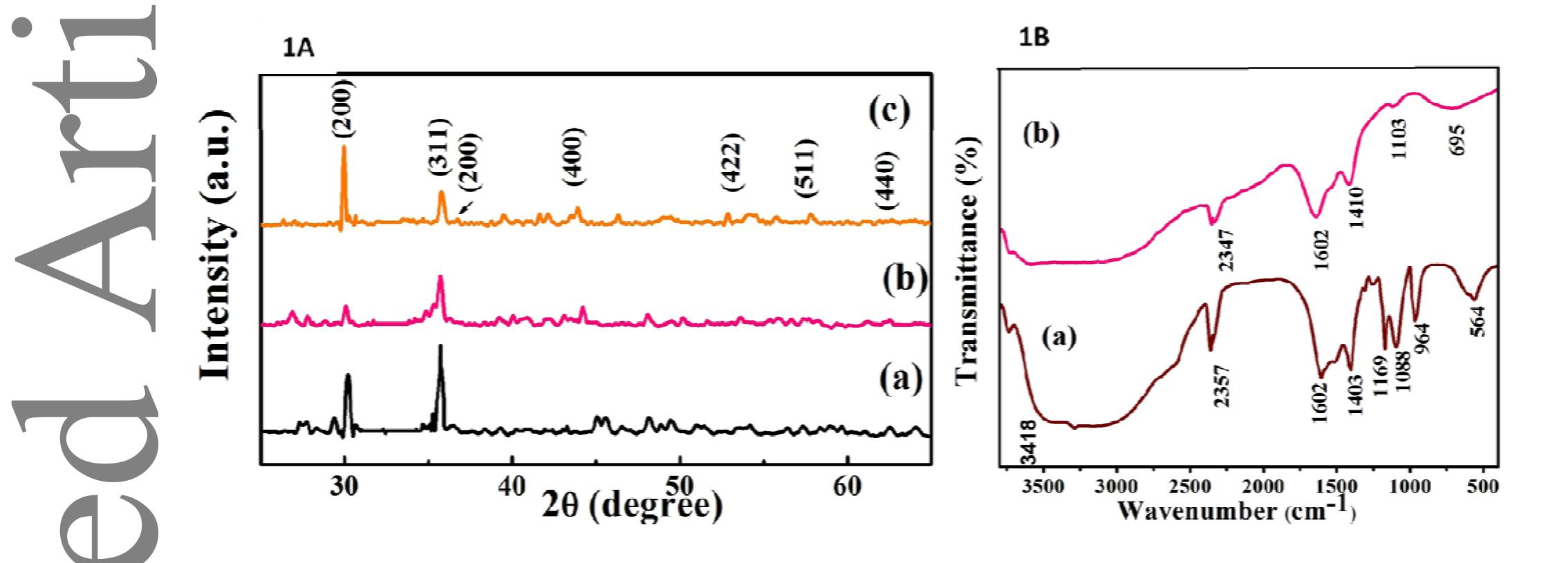 Figure 1 - from Novel PVA polymer based nanostructure with