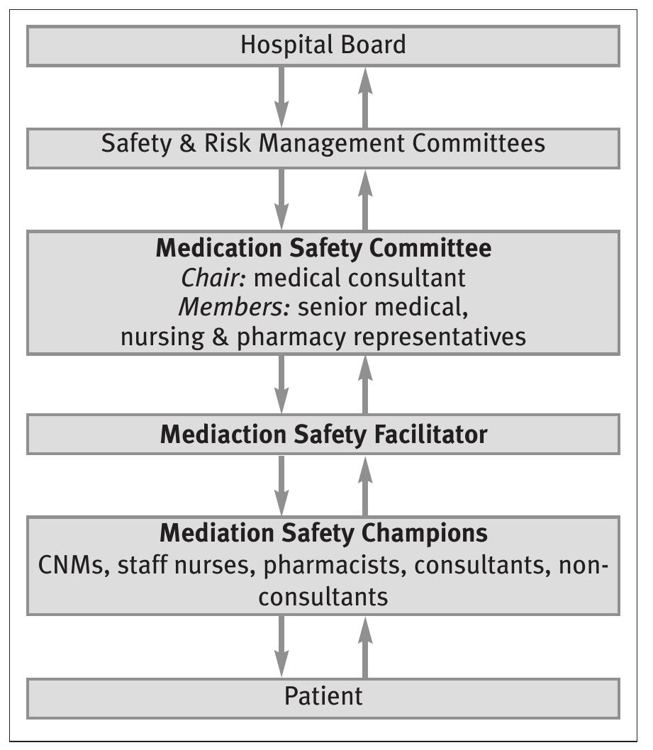 Structure of the medication safety system