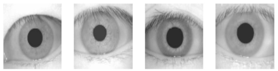 Examples of iris images from the casia database