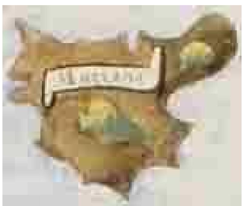 Ambrosiana manuscript