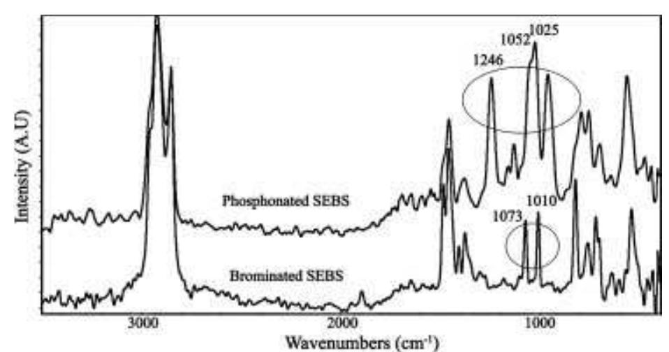 Pa-ftir spectra of brominated (bottom) and phosphonated