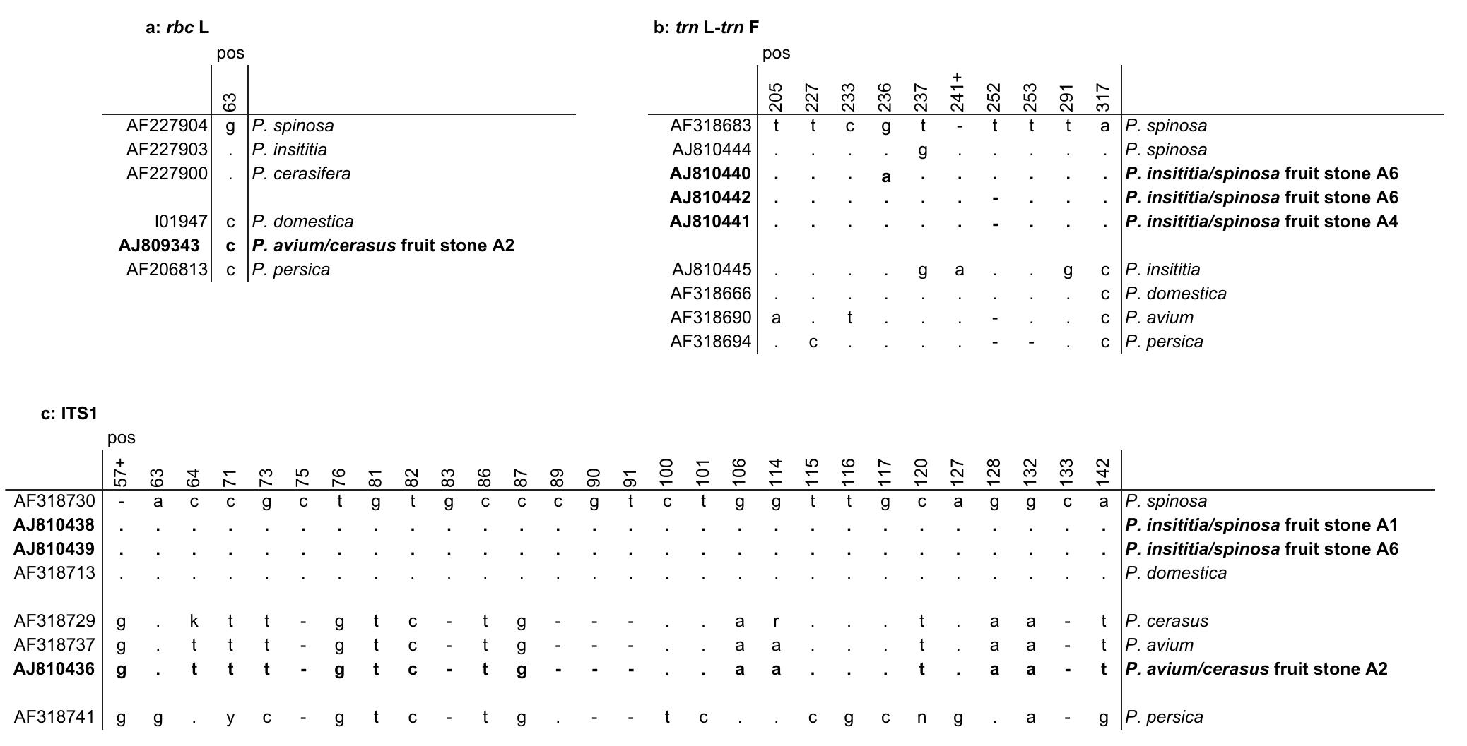Details of the dna sequence alignments from pcr products of